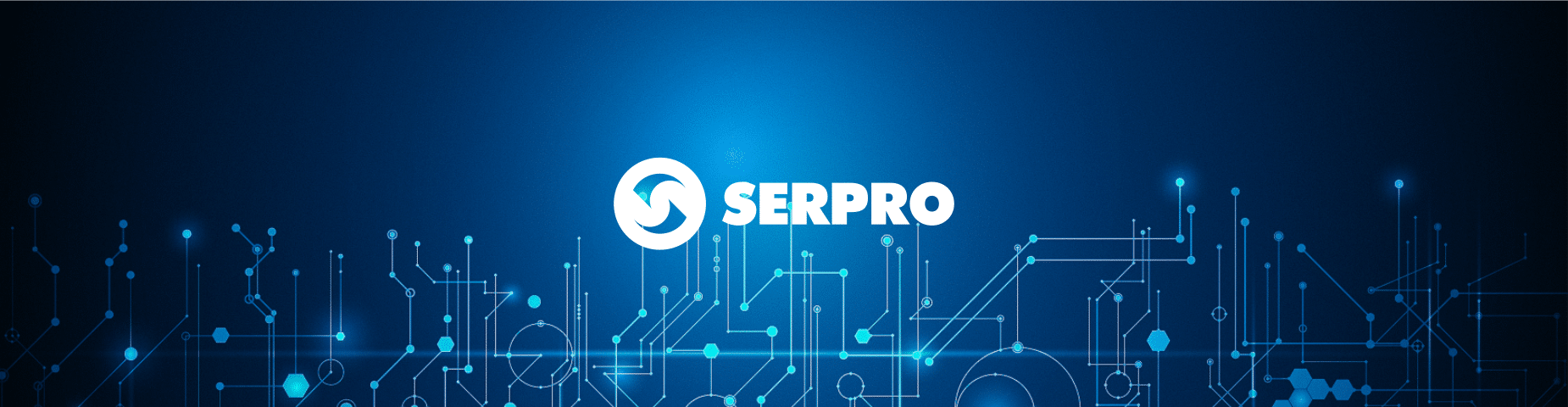 Serpro: o que é e como atua na inspeção e vistoria veicular?